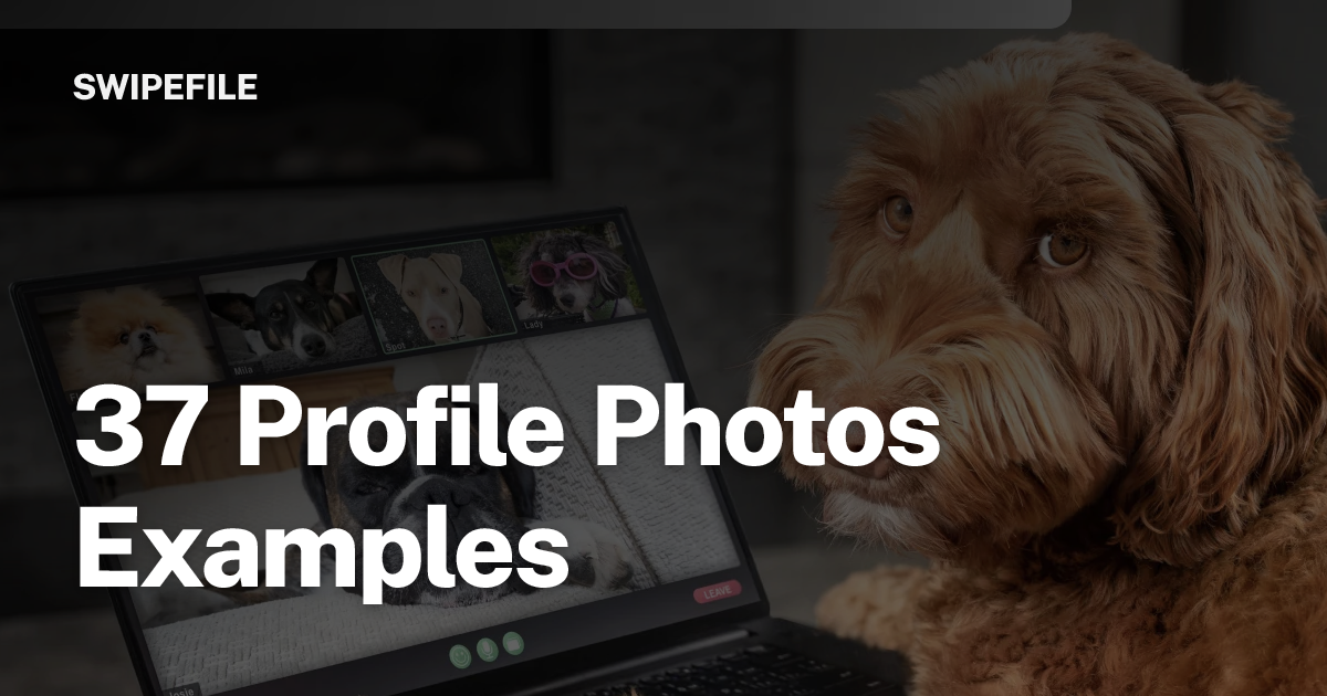 37 Profile Photos Examples | SwipeFile