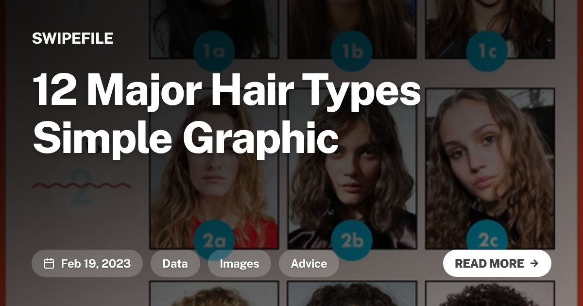 12 Major Hair Types Simple Graphic | SwipeFile