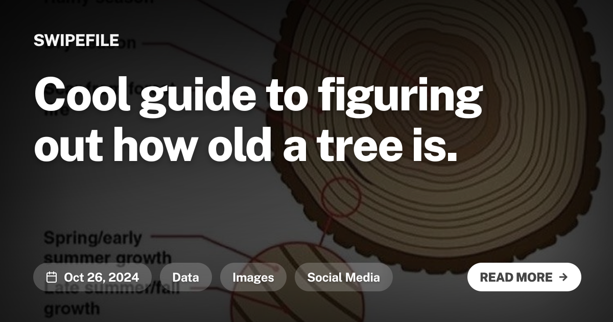 Cool guide to figuring out how old a tree is. | SwipeFile