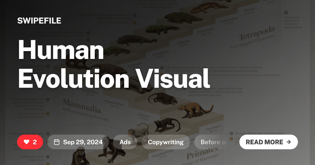 Human Evolution Visual | SwipeFile