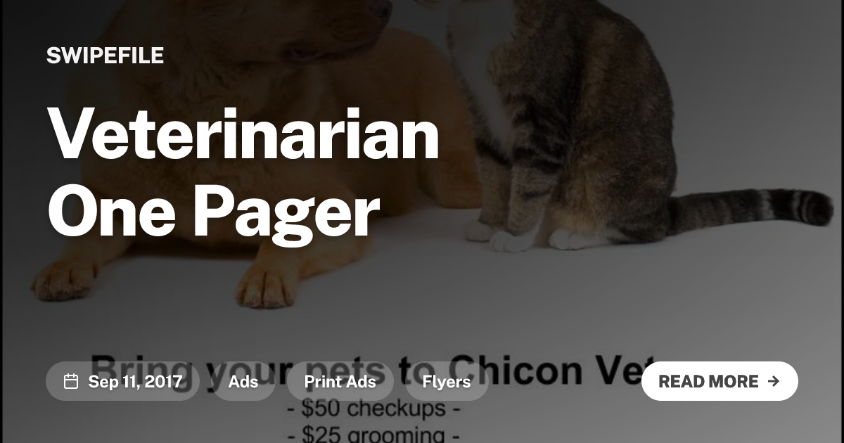 Veterinarian One Pager | SwipeFile