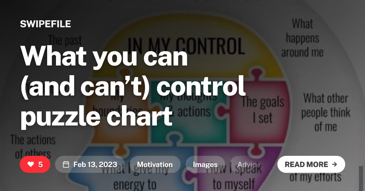 What you can (and can’t) control puzzle chart | SwipeFile