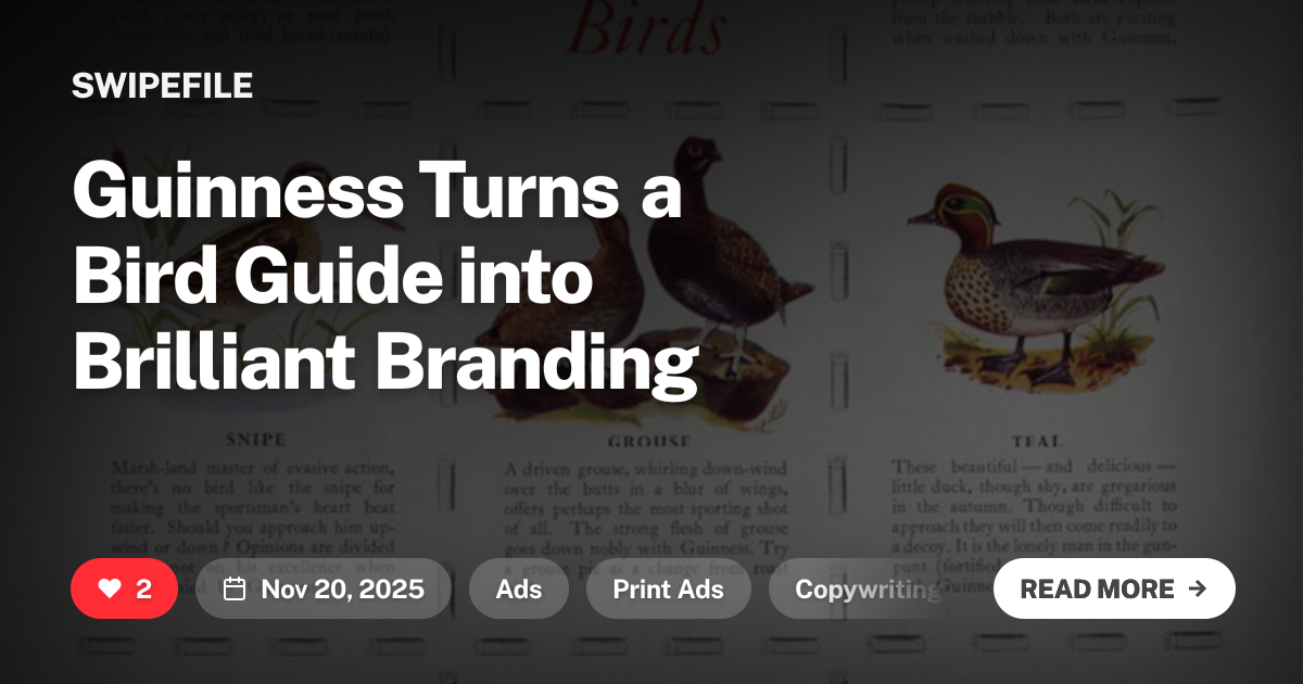 Guinness Turns a Bird Guide into Brilliant Branding | SwipeFile