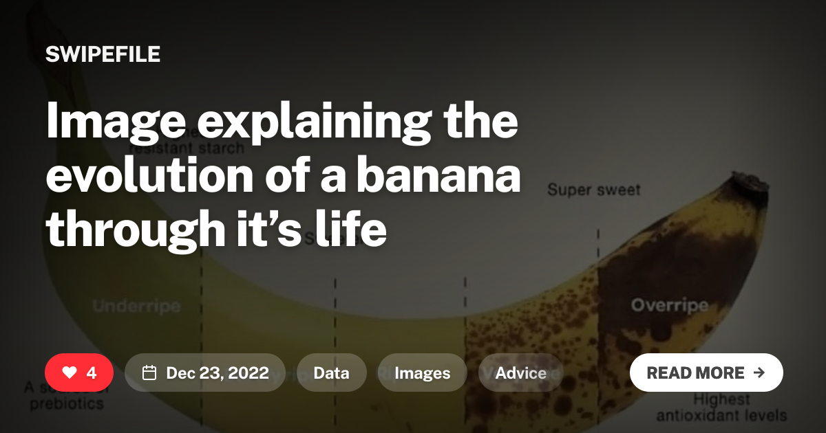 Image explaining the evolution of a banana through it’s life | SwipeFile