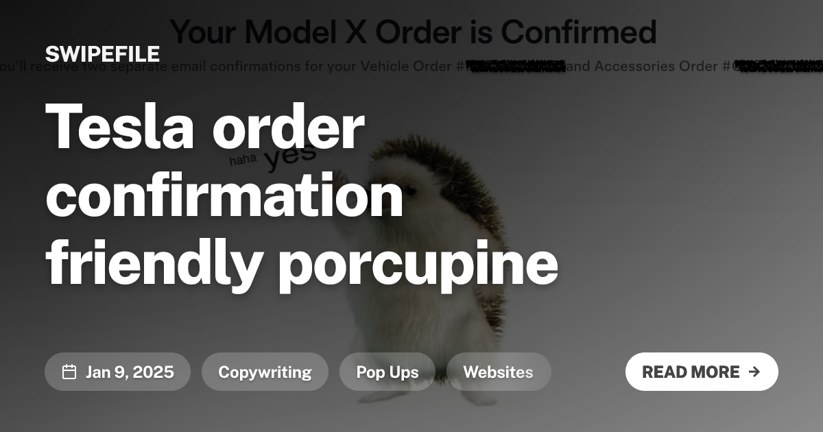 Tesla order confirmation friendly porcupine | SwipeFile
